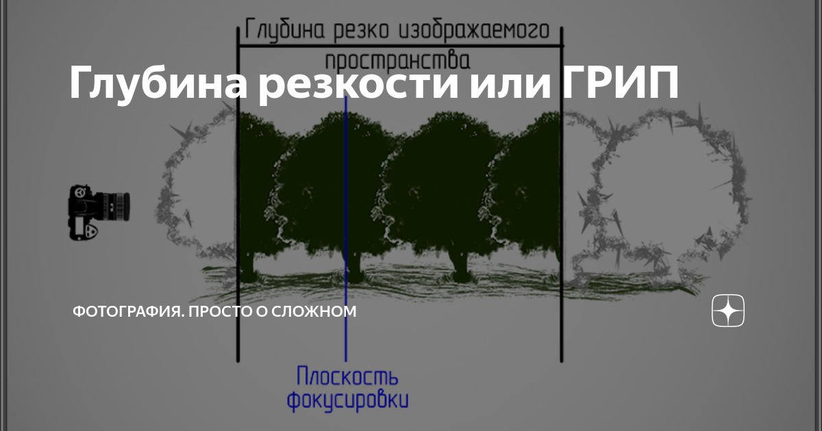 Глубина резкости или ГРИП | Фотография. Просто о сложном | Дзен