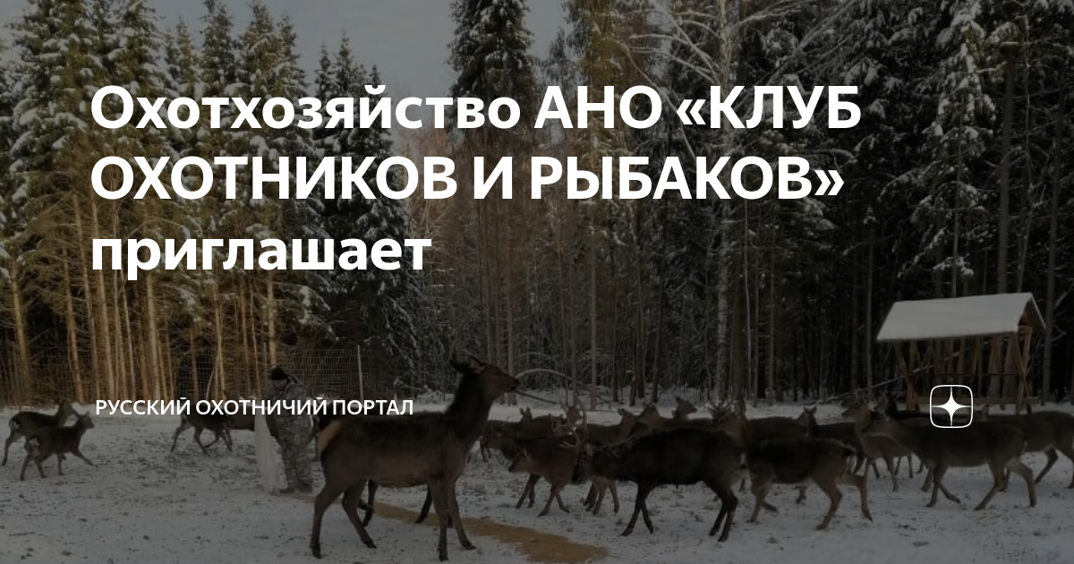 Охотхозяйство АНО «КЛУБ ОХОТНИКОВ И РЫБАКОВ» приглашает | Русский ...
