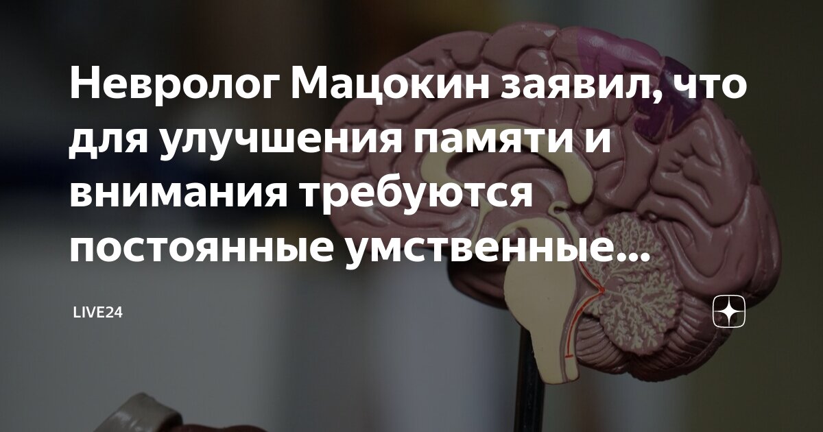 Невролог Мацокин заявил, что для улучшения памяти и внимания требуются постоянные умственные ...