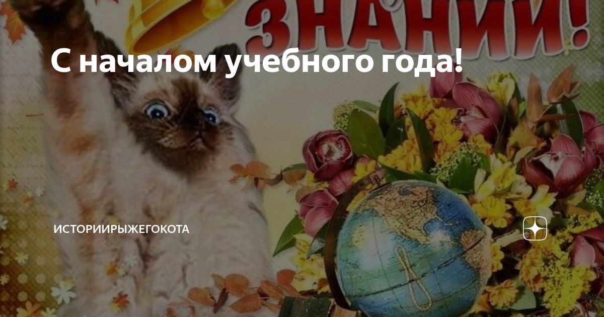С началом учебного года! | ИсторииРыжегоКота | Дзен