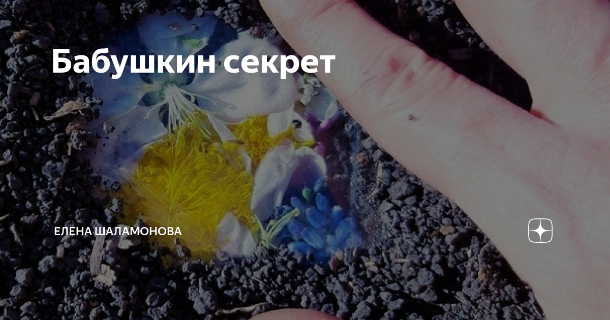 Бабушкин секрет Елена Шаламонова Дзен