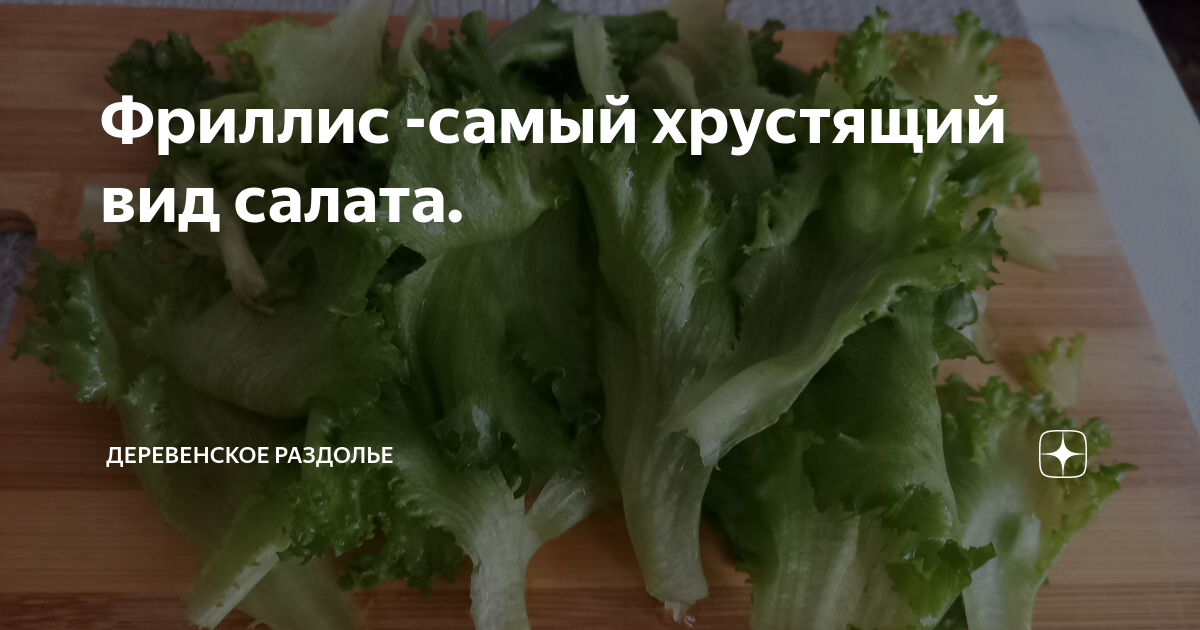 Фриллис -самый хрустящий вид салата. | Деревенское раздолье | Дзен