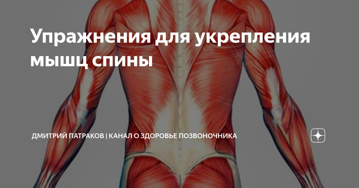 Упражнения для укрепления мышц спины Дмитрий Патраков Канал о