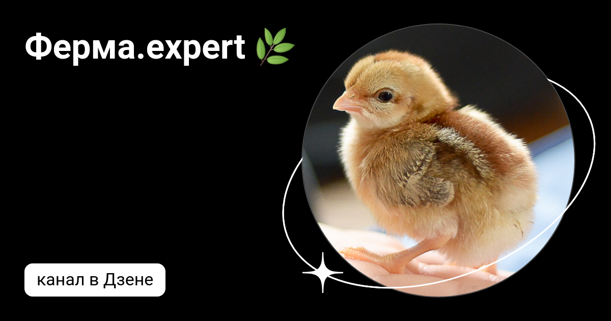 Ферма.expert 🌿 | Дзен