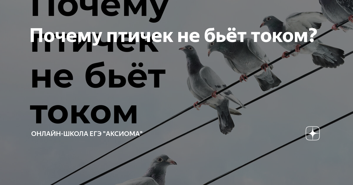 Почему птичек не бьёт током? | Онлайн-школа «Аксиумикс» | Дзен