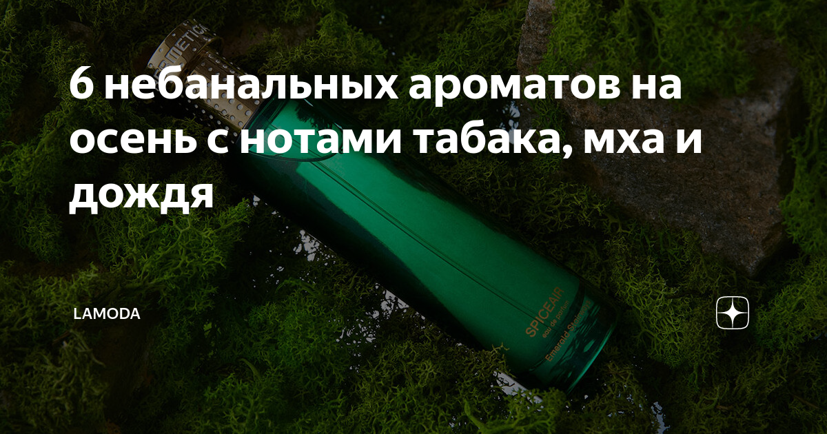 6 небанальных ароматов на осень с нотами табака, мха и дождя | lamoda ...