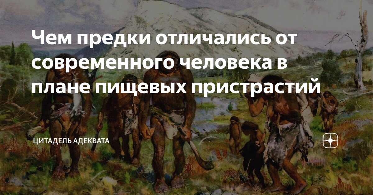 Чем предки отличались от современного человека в плане пищевых ...