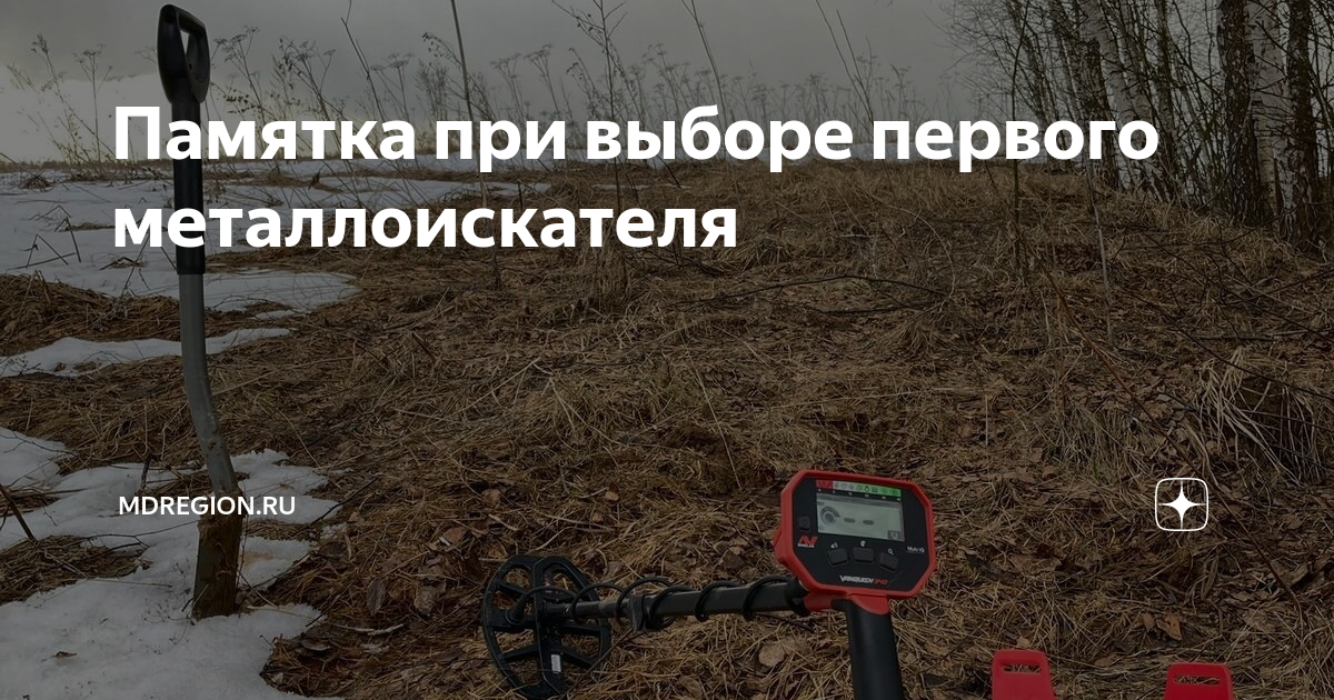 Памятка при выборе первого металлоискателя | MDREGION.RU | Дзен