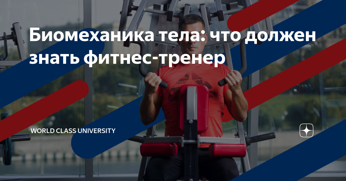 Биомеханика тела: что должен знать фитнес-тренер | WORLD CLASS ...