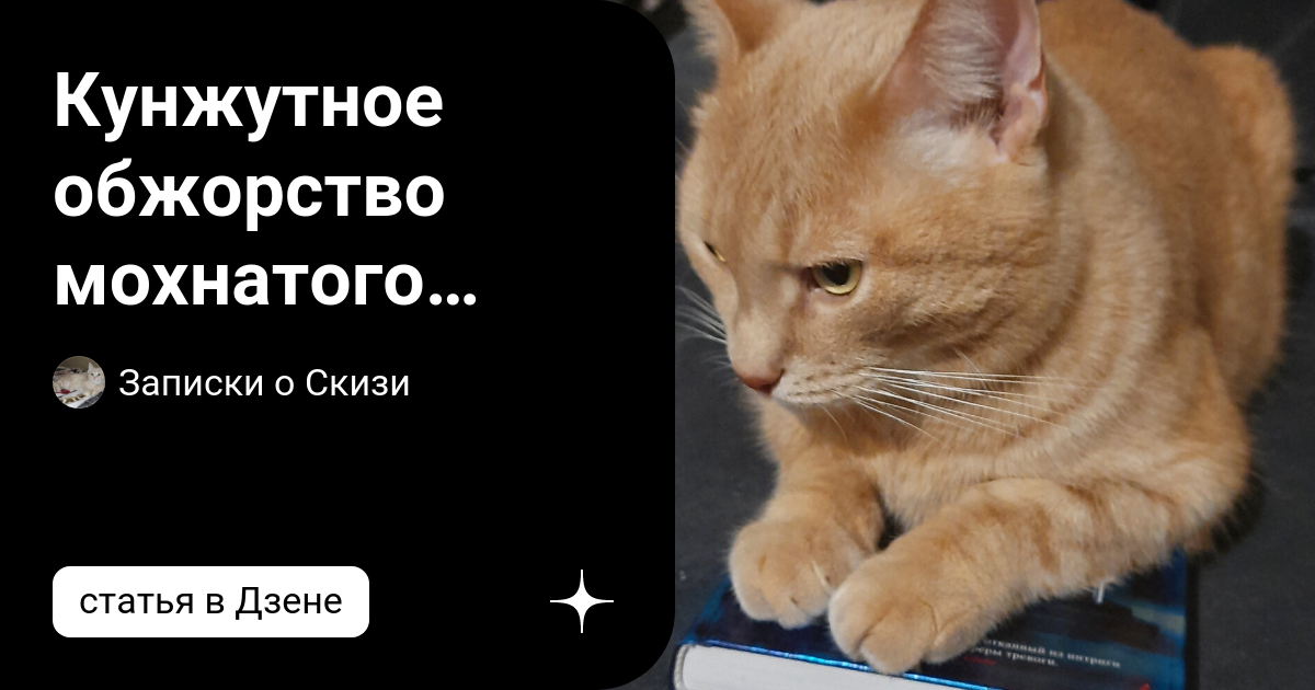 Кунжутное обжорство мохнатого элемента. | Записки о Скизи | Дзен