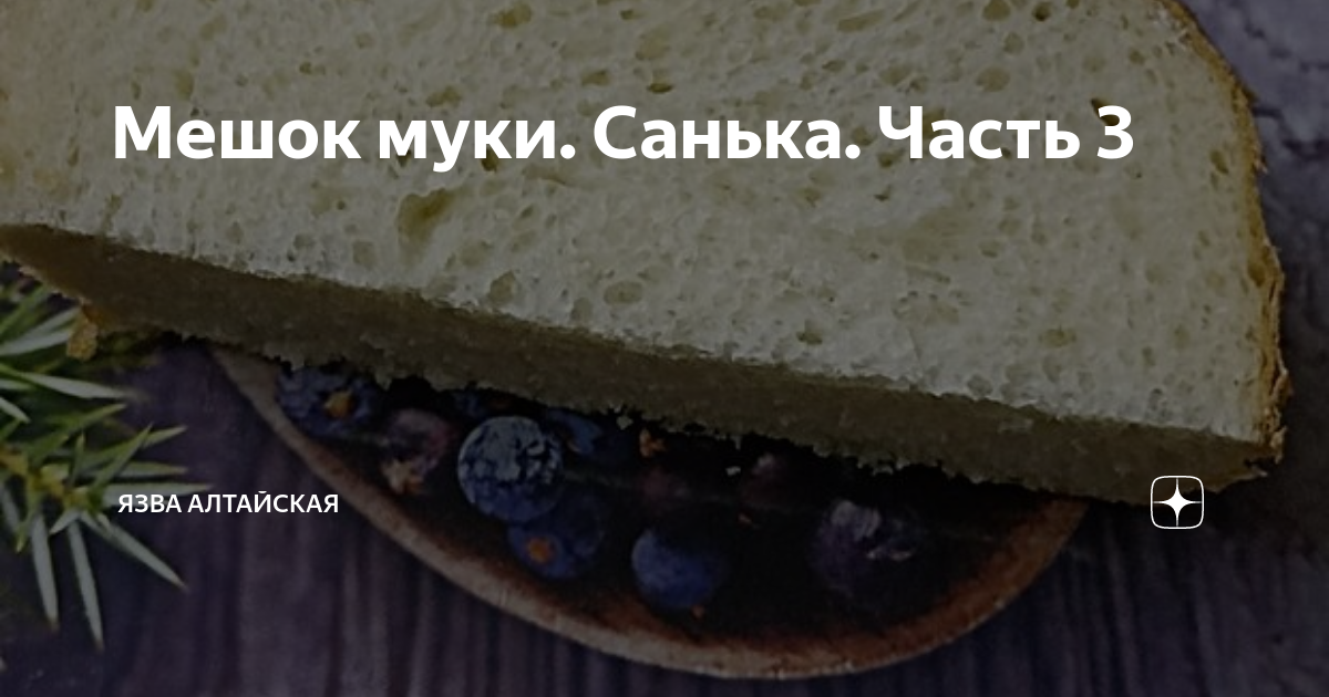 Мешок муки. Санька. Часть 3 | Язва Алтайская. | Дзен