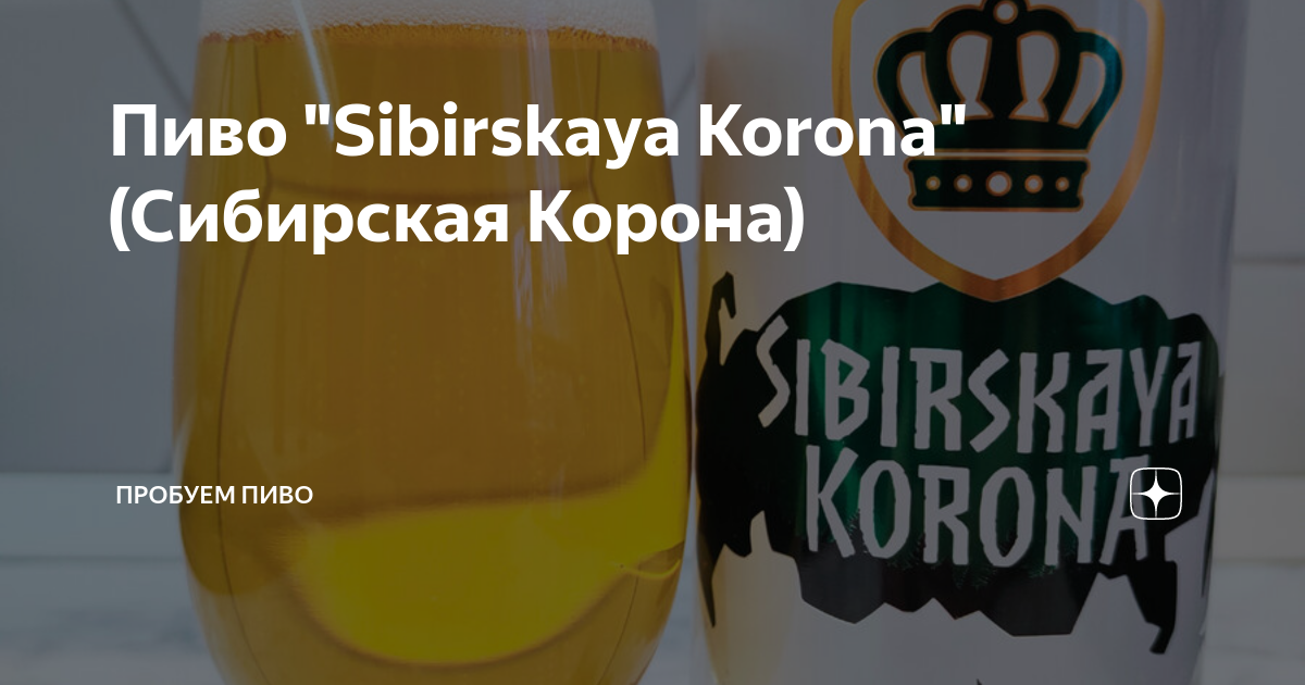 Пиво "Sibirskaya Korona" (Сибирская Корона) | Пробуем пиво | Дзен