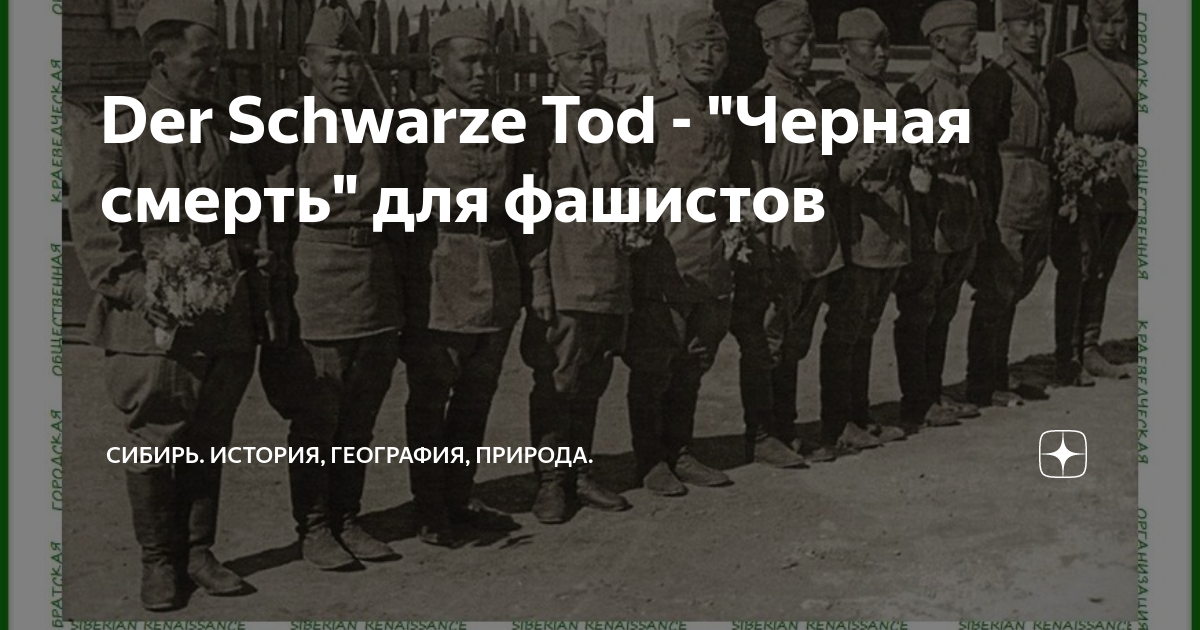 Der Schwarze Tod Черная смерть для фашистов Сибирский Ренессанс