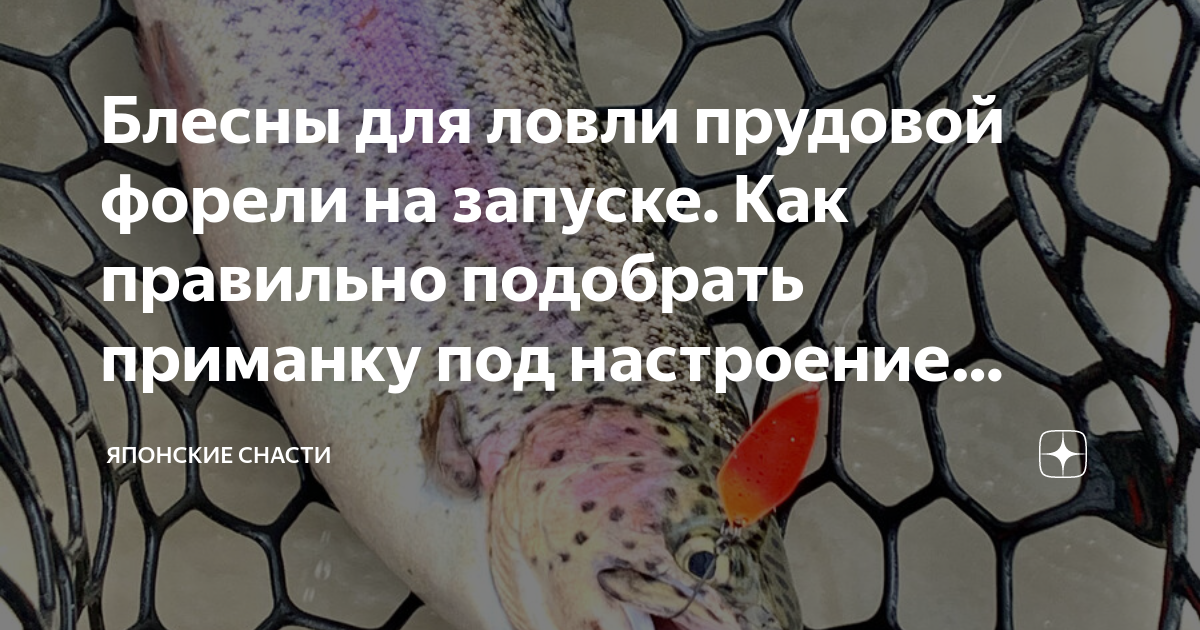 Блесны для ловли прудовой форели на запуске. Как правильно подобрать ...