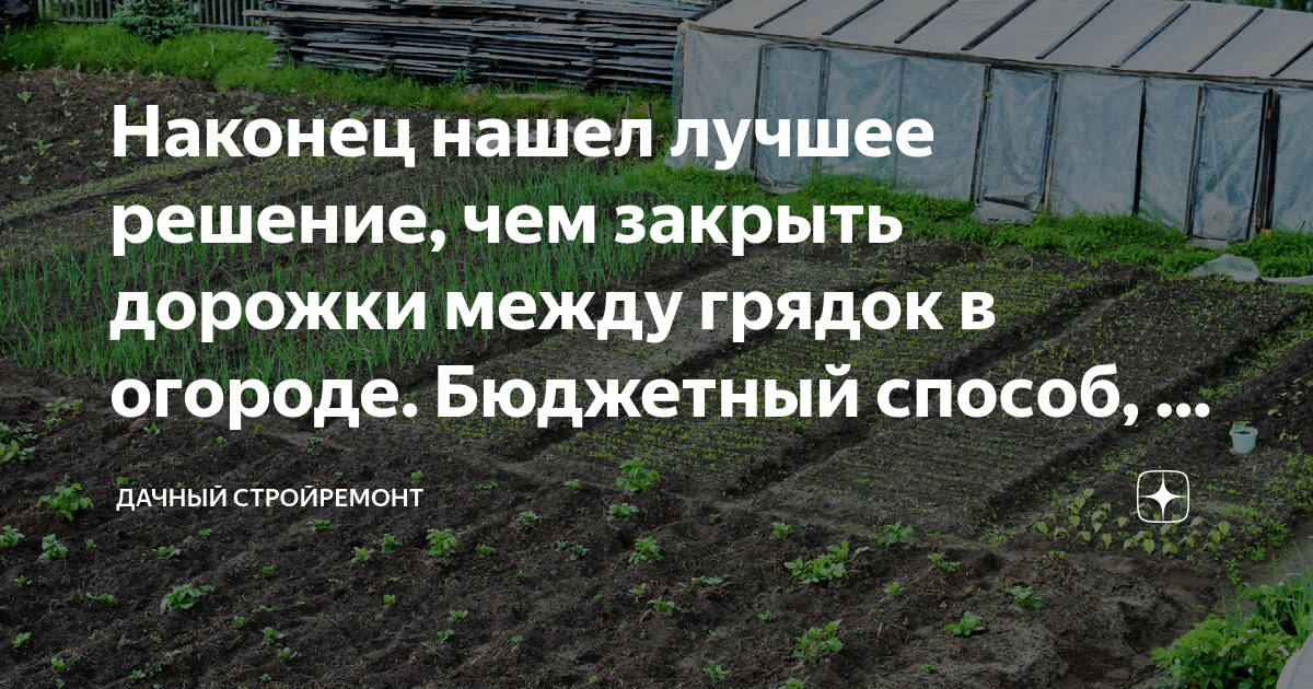 Наконец нашел лучшее решение, чем закрыть дорожки между грядок в ...