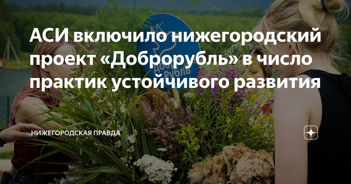 АСИ включило нижегородский проект «Доброрубль в число практик