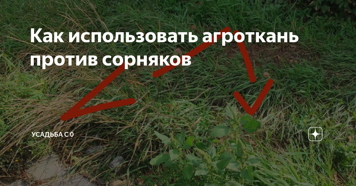 Как использовать агроткань против сорняков | Усадьба с 0 | Дзен