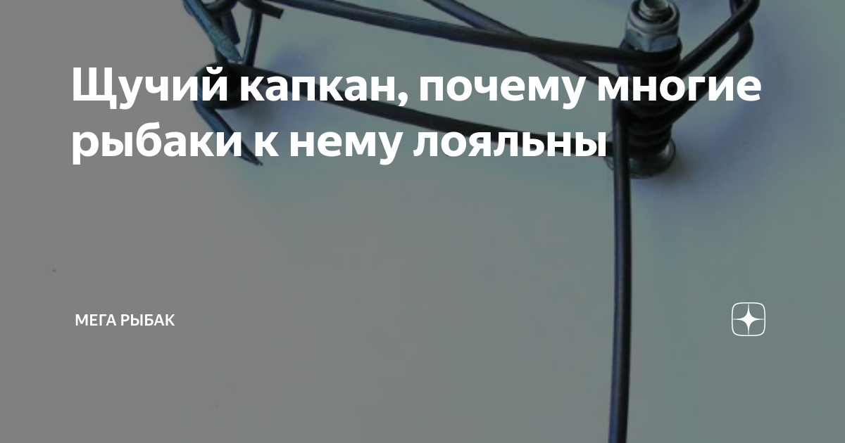 Щучий капкан, почему многие рыбаки к нему лояльны | Мега Рыбак | Дзен