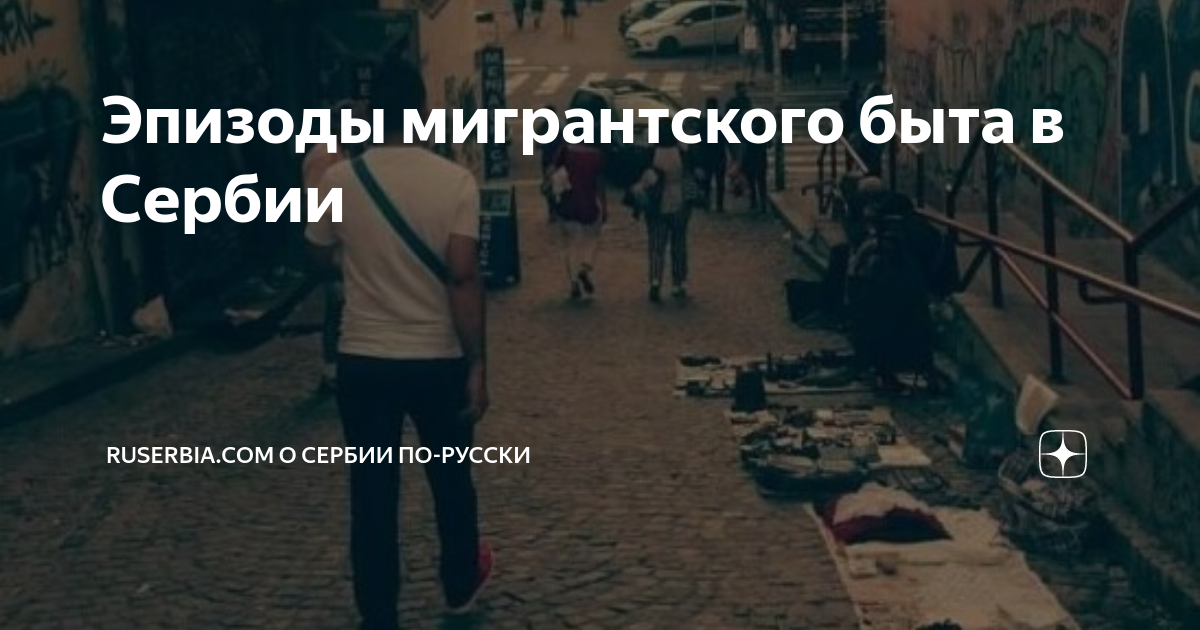 Эпизоды мигрантского быта в Сербии О Сербии по русски Дзен