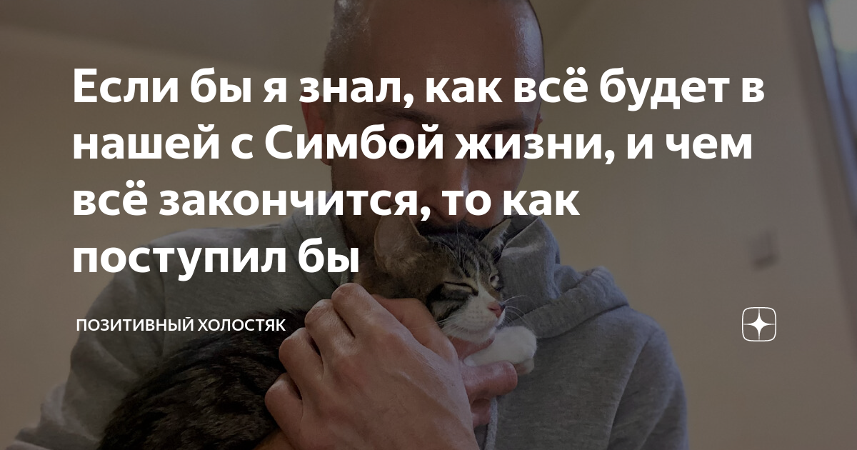 Если бы я знал, как всё будет в нашей с Симбой жизни, и чем всё ...