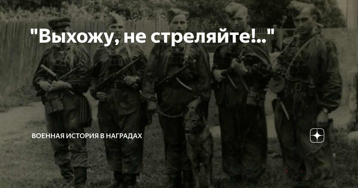 "Выхожу, не стреляйте!.." | Военная история в наградах | Дзен
