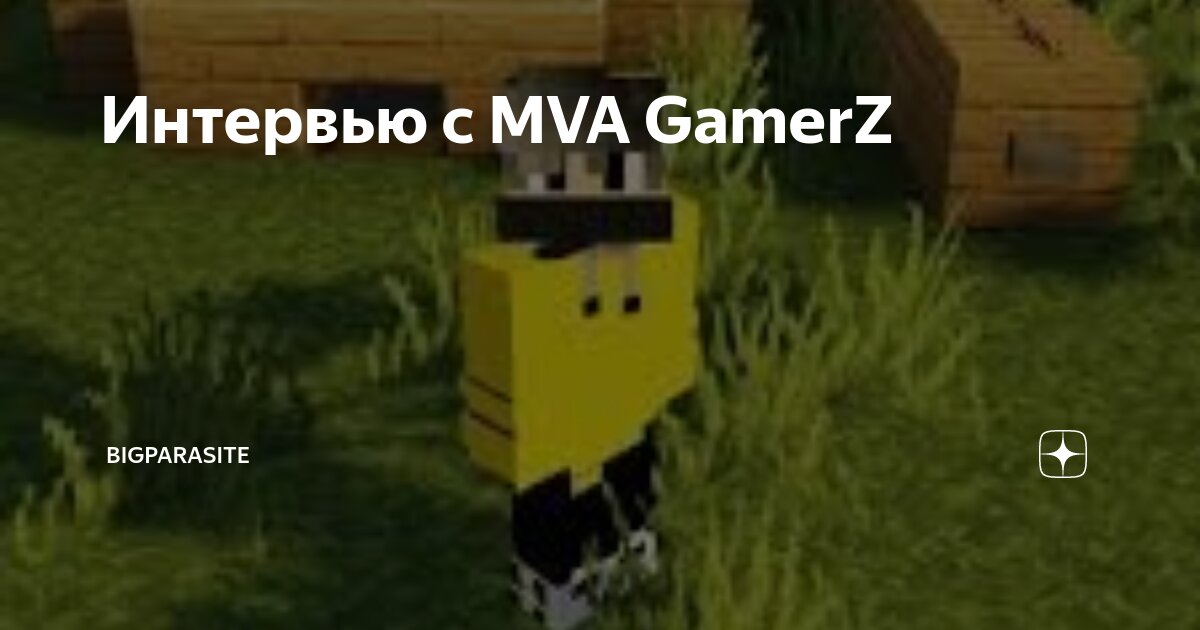 Интервью с MVA GamerZ | BigParasite (больше не активен) | Дзен