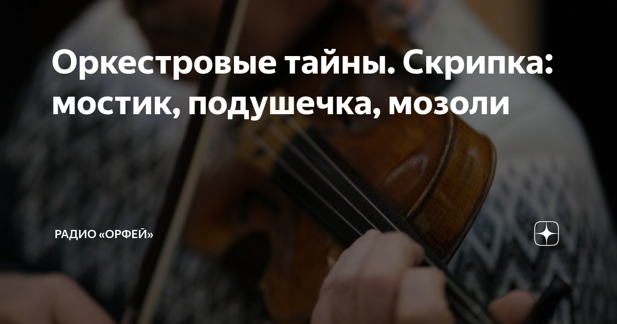Оркестровые тайны. Скрипка: мостик, подушечка, мозоли | Радио «Орфей ...