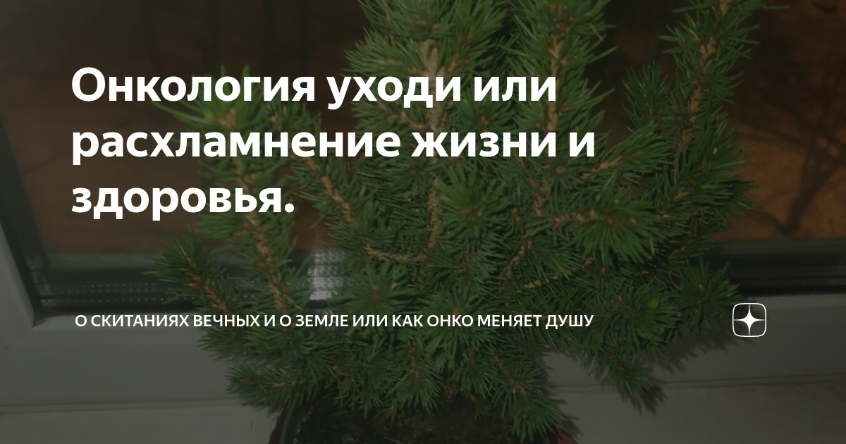 Онкология уходи или расхламнение жизни и здоровья. | О скитаниях вечных ...