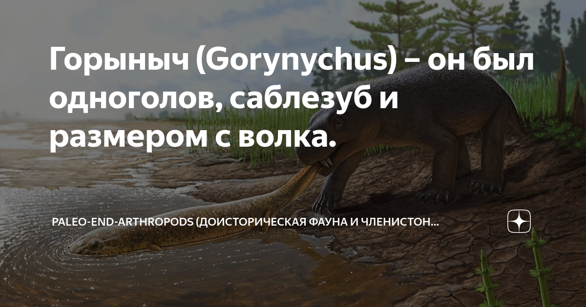 Горыныч (Gorynychus) – он был одноголов, саблезуб и размером с волка ...