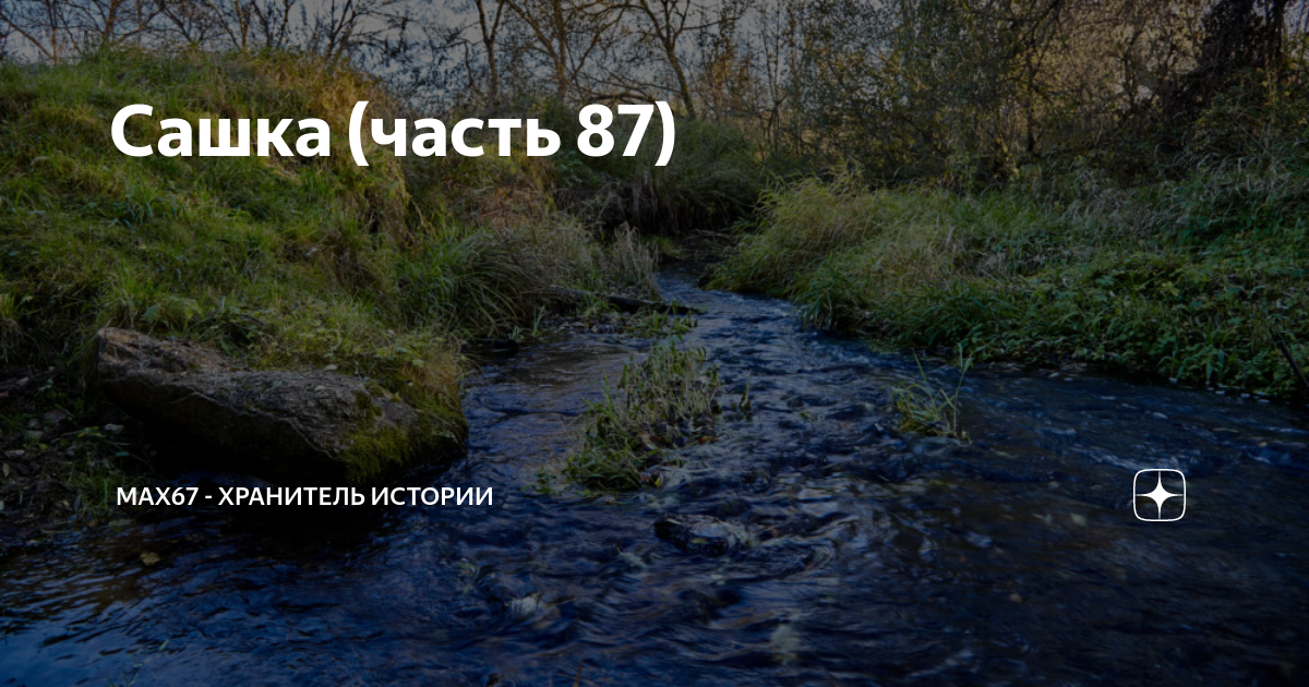 Сашка (часть 87) | MAX67 - Хранитель Истории | Дзен