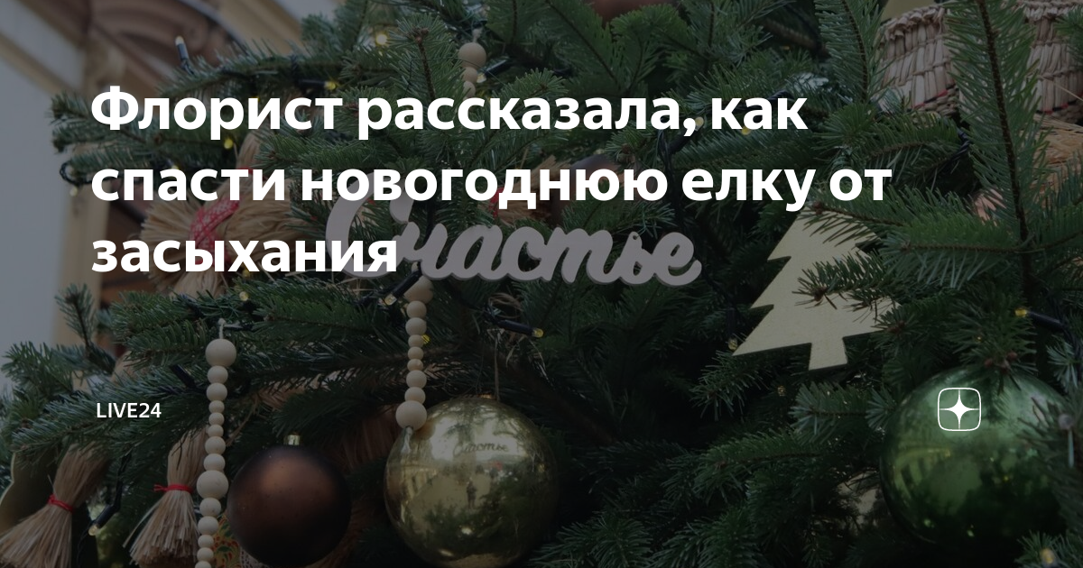 Флорист рассказала, как спасти новогоднюю елку от засыхания | LIVE24 | Дзен