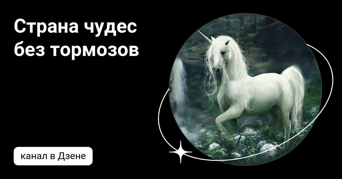 Страна чудес без тормозов | Дзен