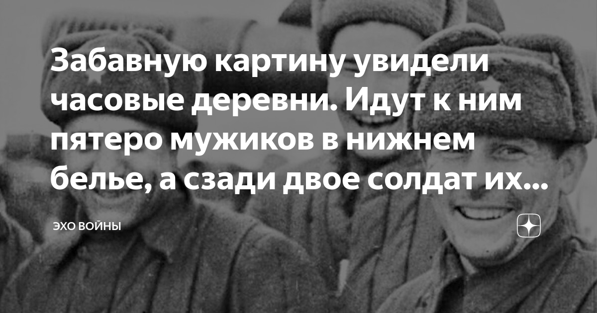 Забавную картину увидели часовые деревни Идут к ним пятеро мужиков в