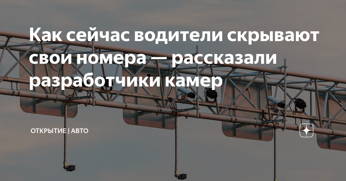 Как сейчас водители скрывают свои номера — рассказали разработчики ...