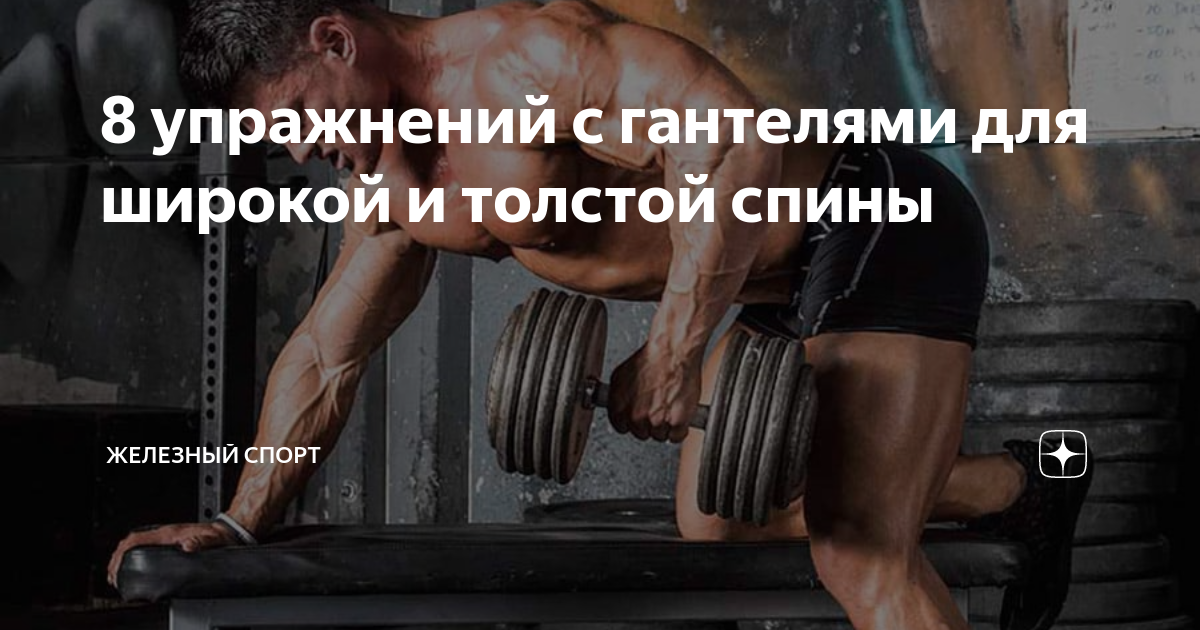 8 упражнений с гантелями для широкой и толстой спины Железный спорт Дзен