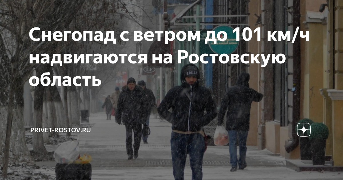 Снегопад с ветром до 101 км/ч надвигаются на Ростовскую область | Privet-Rostov.ru | Дзен