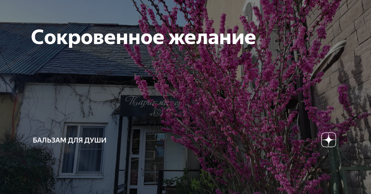 Сокровенное желание | Бальзам для души | Дзен