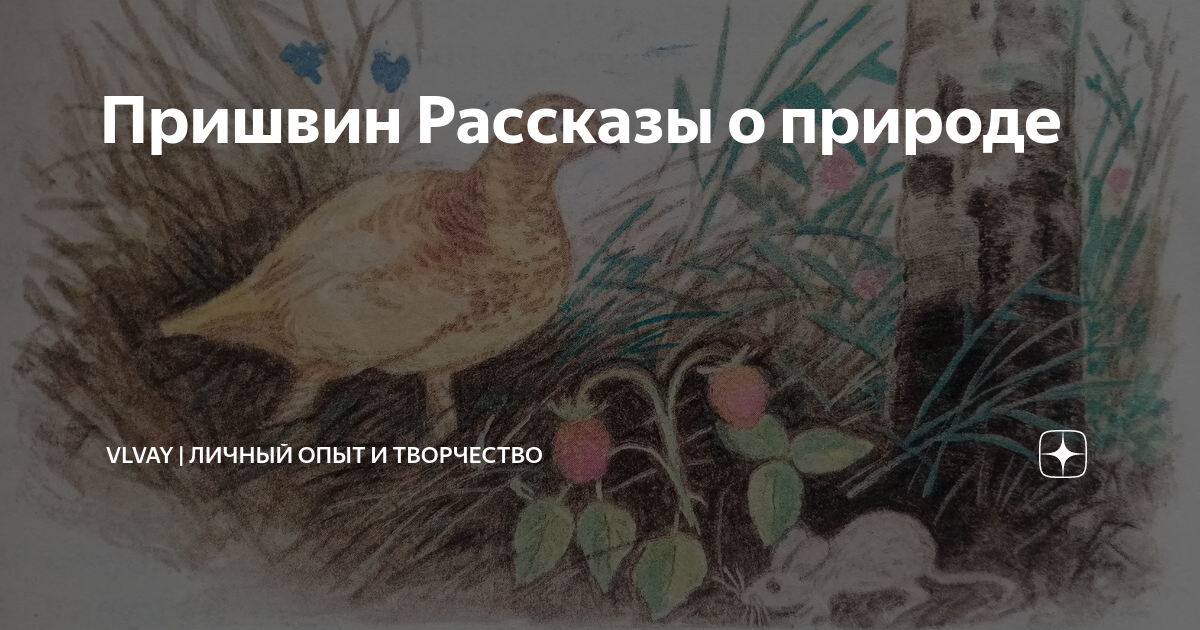 Пришвин Рассказы о природе | VLVay | Музыка, путешествия, книги | Дзен