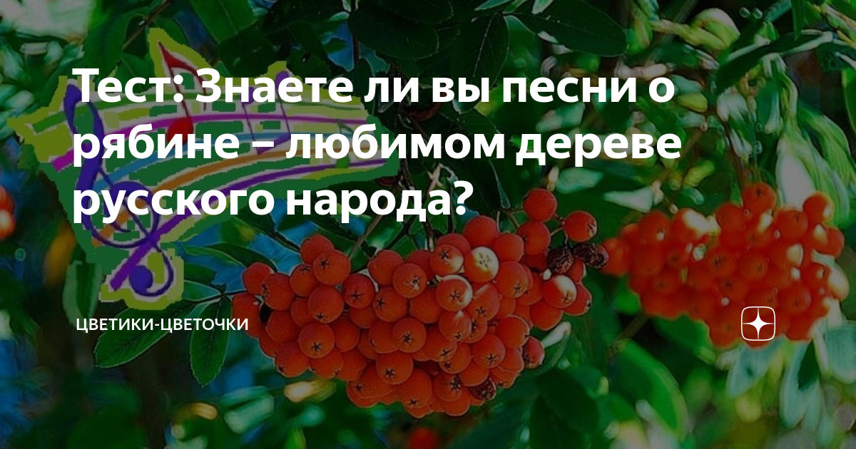 Тест Знаете ли вы песни о рябине любимом дереве русского народа