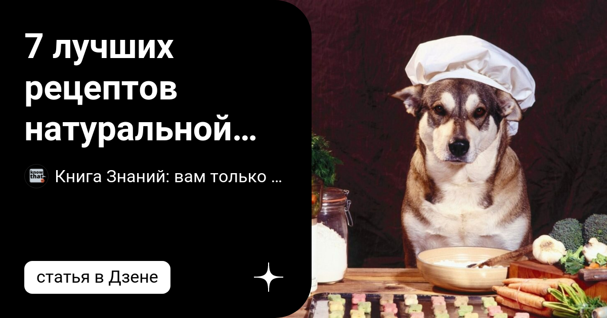 7 лучших рецептов натуральной еды для собак: готовим дома, готовим ...