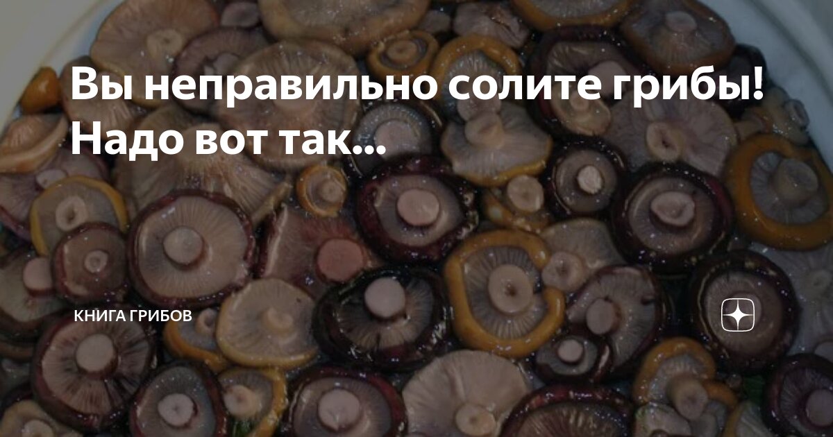 Вы неправильно солите грибы Надо вот так Книга Грибов Дзен