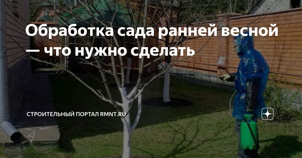 Обработка сада ранней весной — что нужно сделать | RMNT.RU | Дзен