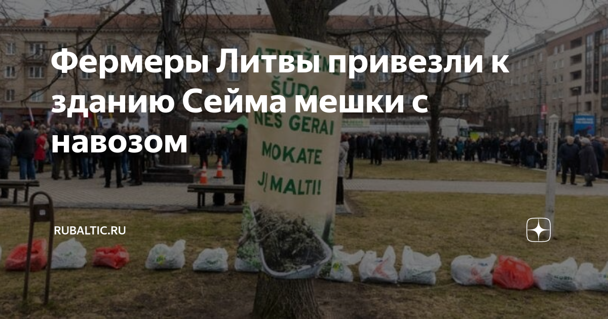 Фермеры Литвы привезли к зданию Сейма мешки с навозом | RuBaltic.Ru | Дзен