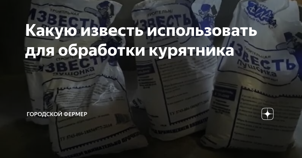 Какую известь использовать для обработки курятника | Хожу по земле | Дзен