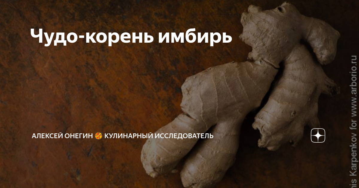 Чудо-корень имбирь | Алексей Онегин 🥘 Кулинарный исследователь | Дзен