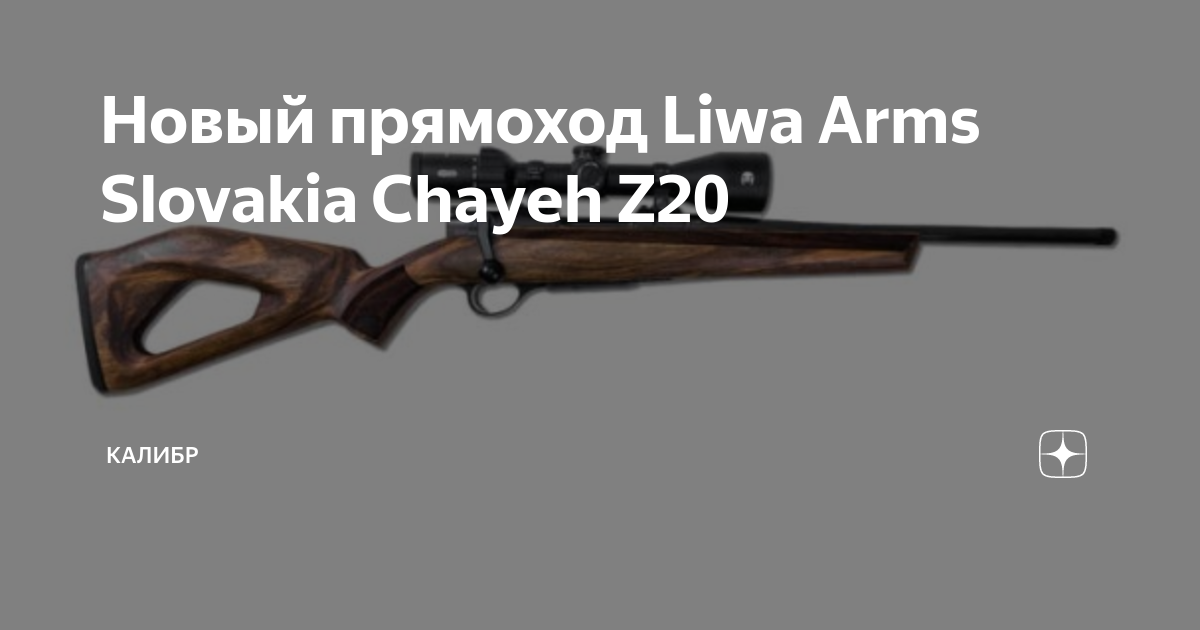 Новый прямоход Liwa Arms Slovakia Chayeh Z20 | КАЛИБР | Дзен