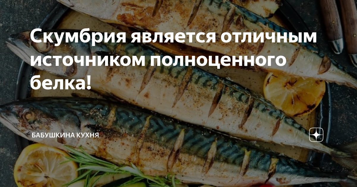 Скумбрия является отличным источником полноценного белка! | Бабушкина ...