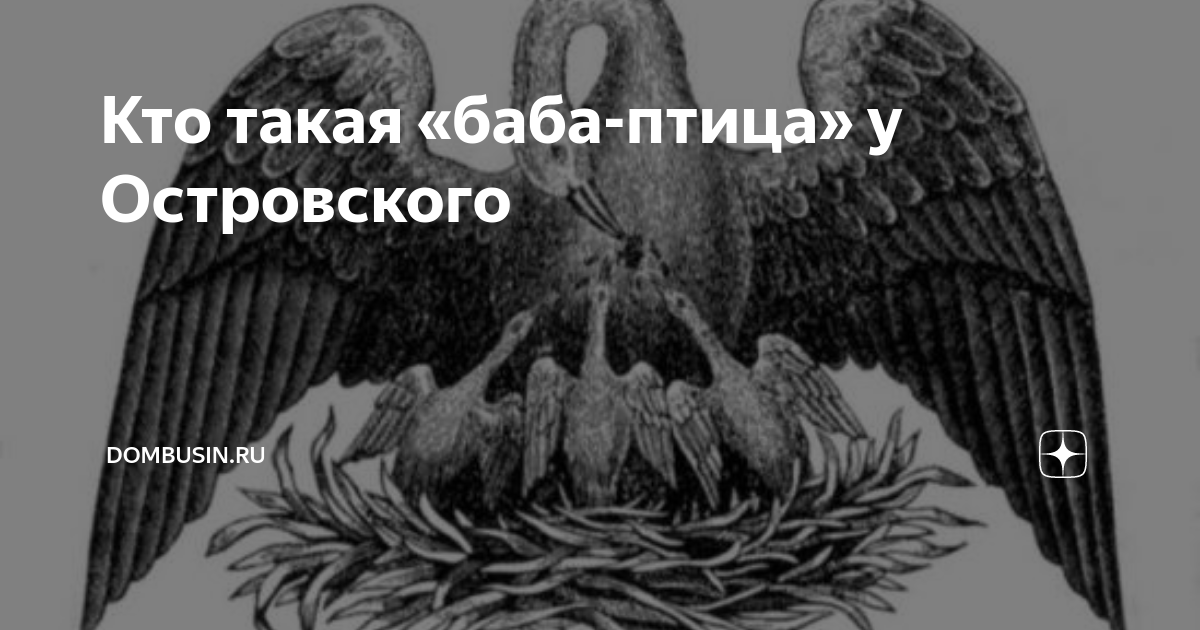 Кто такая «баба-птица» у Островского | Dombusin.ru | Дзен