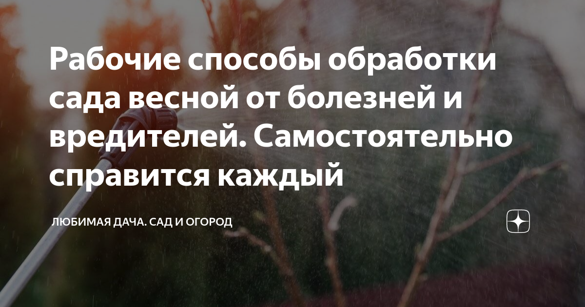 Рабочие способы обработки сада весной от болезней и вредителей ...