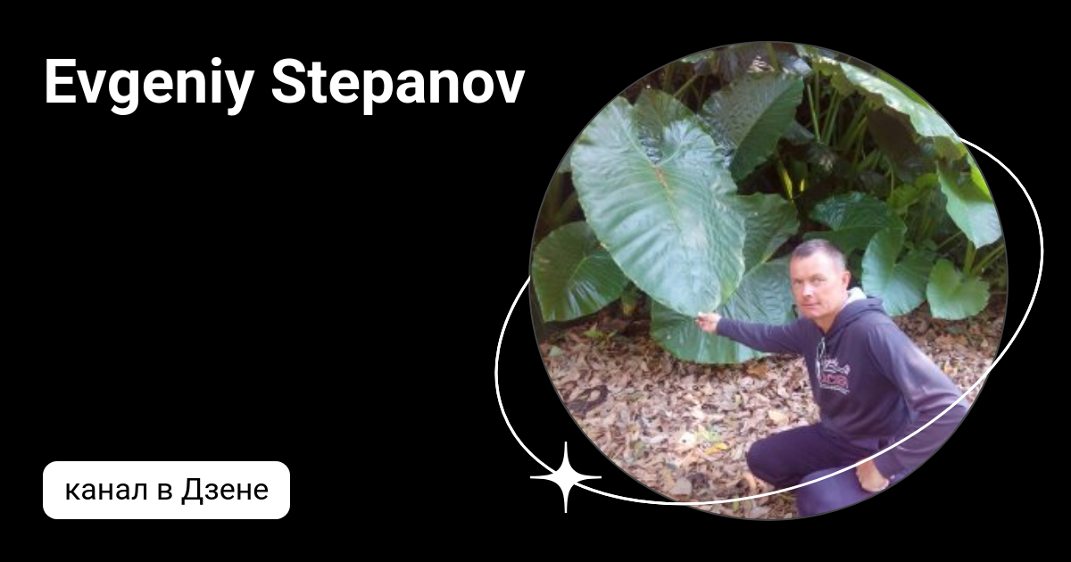 Evgeniy Stepanov | Дзен